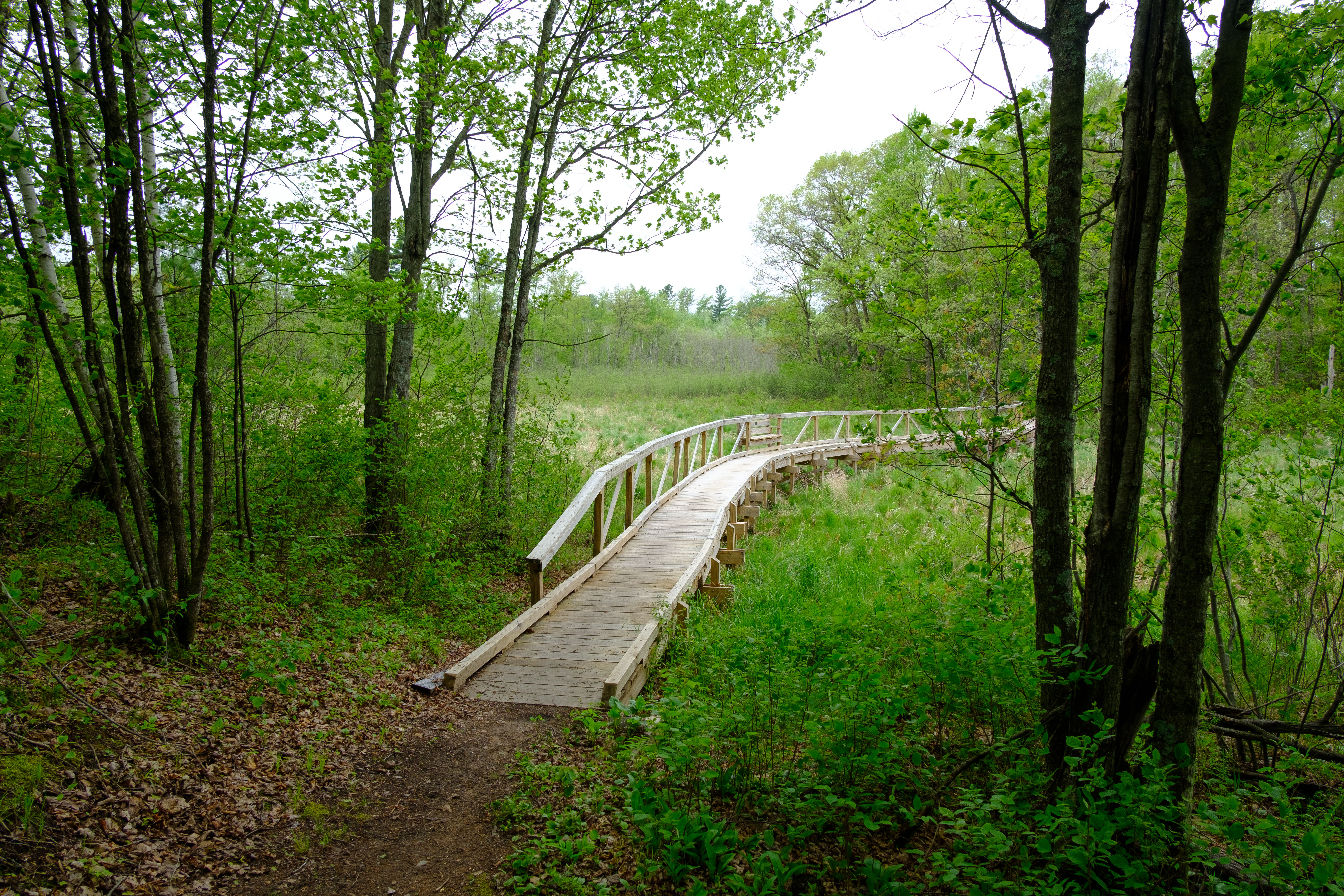Native American History & Culture in Parks | National Park Foundation