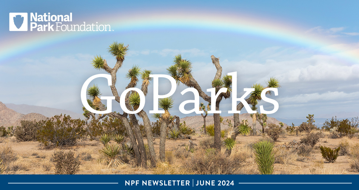 Newsletters | National Park Foundation