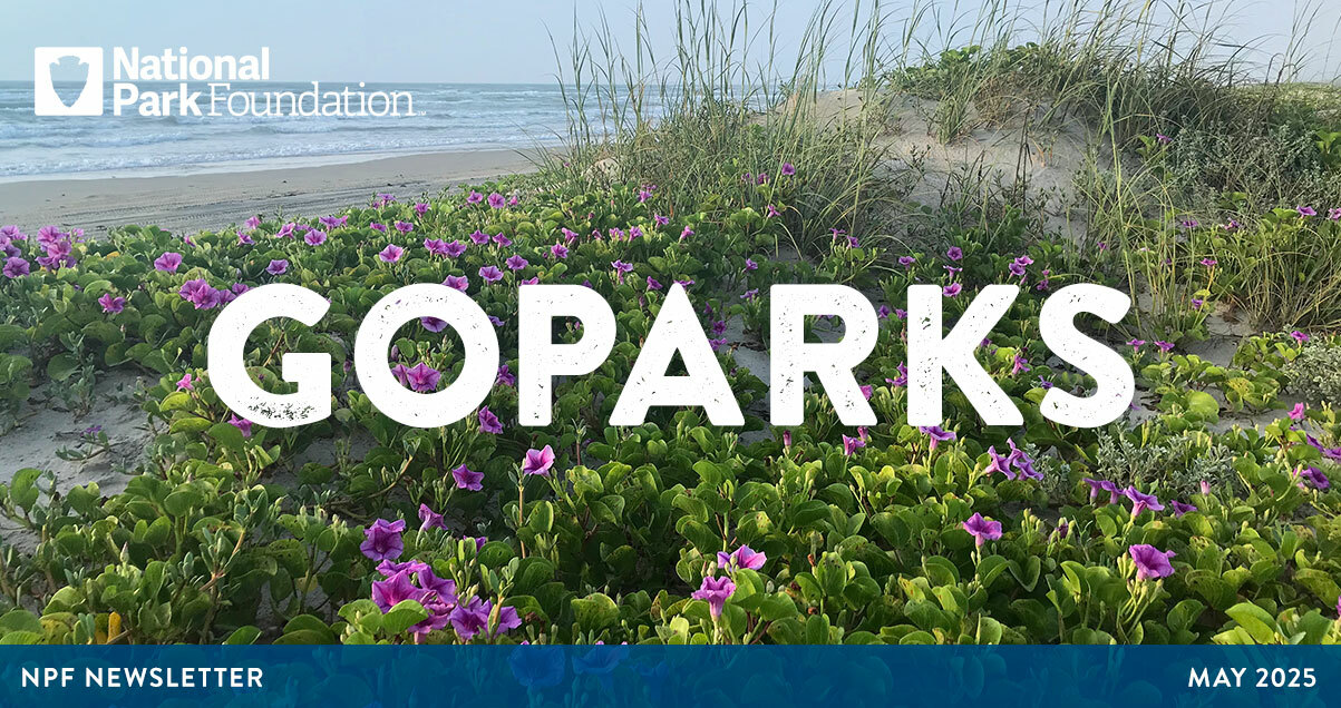 Newsletters | National Park Foundation