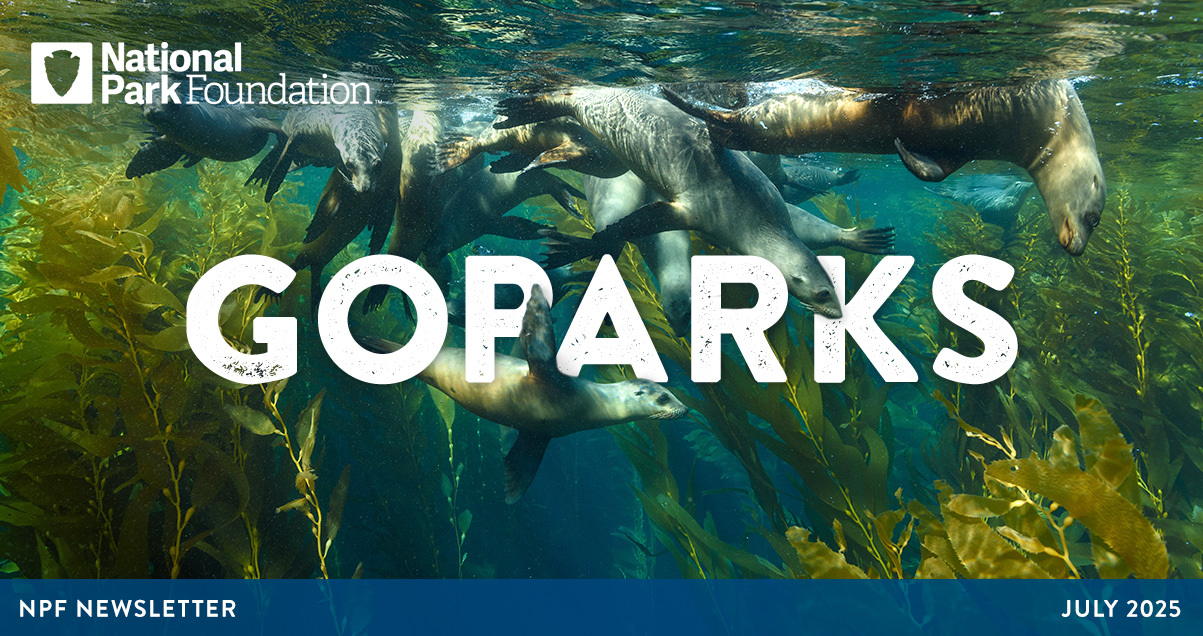 Newsletters | National Park Foundation