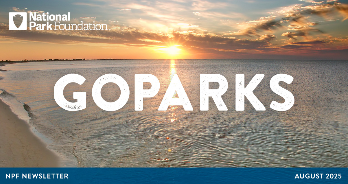 Newsletters | National Park Foundation