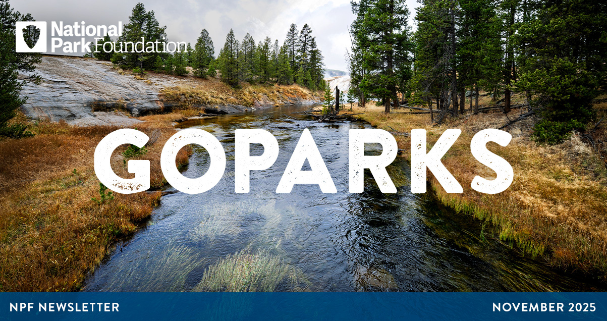 Newsletters | National Park Foundation