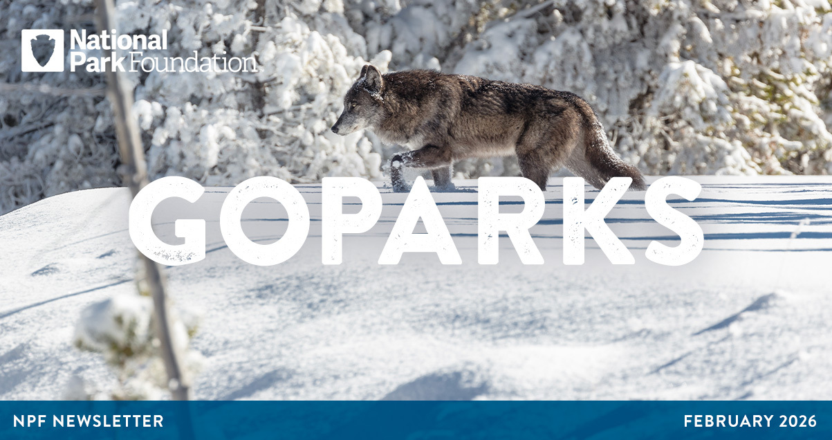 Newsletters | National Park Foundation