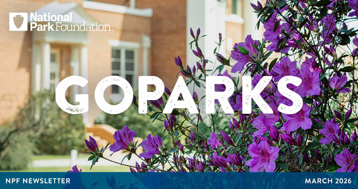 Newsletters | National Park Foundation
