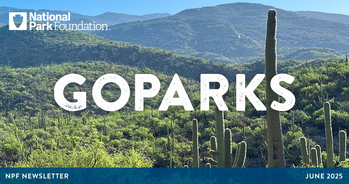 Newsletters | National Park Foundation