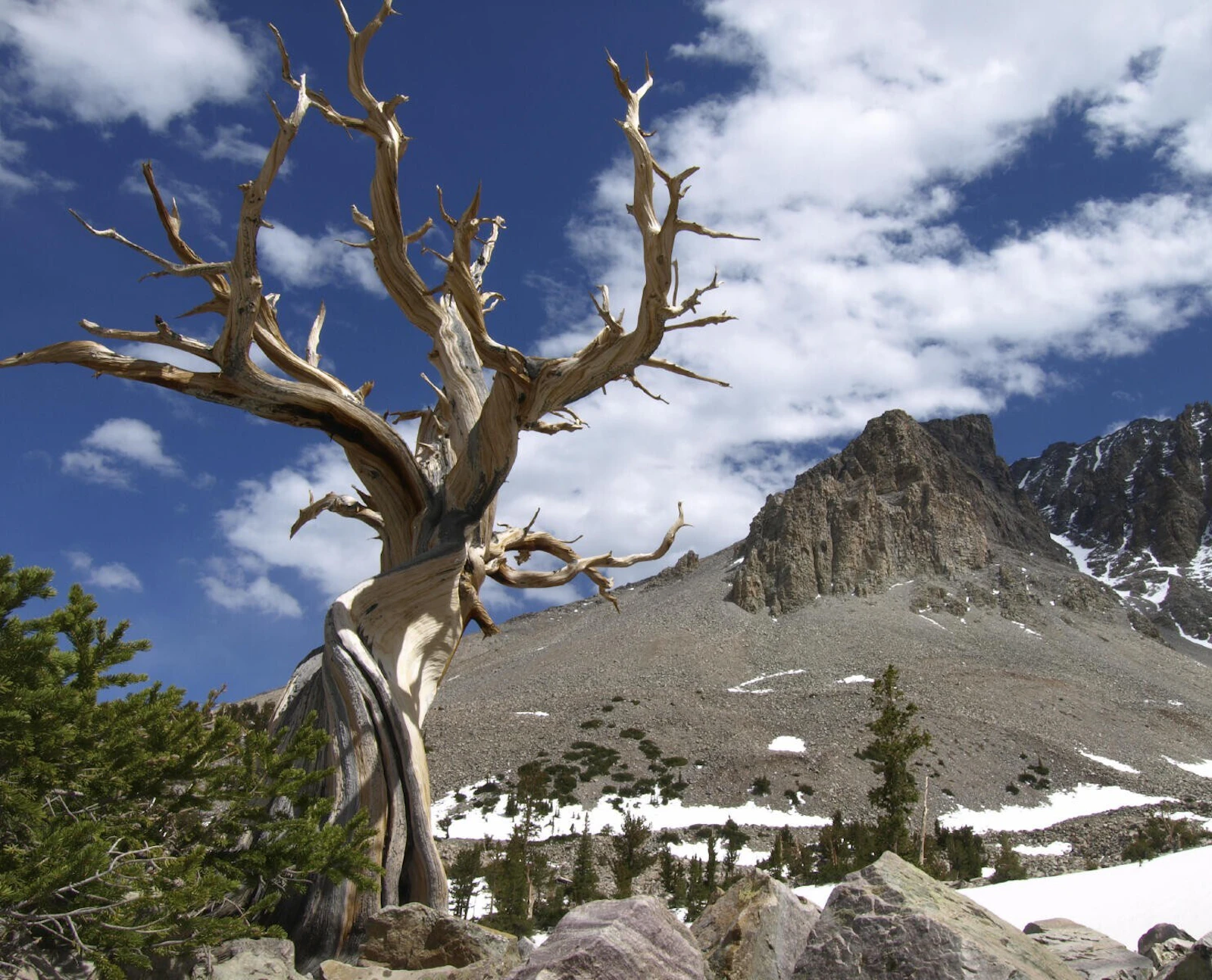 National Parks by State | National Park… | National Park Foundation