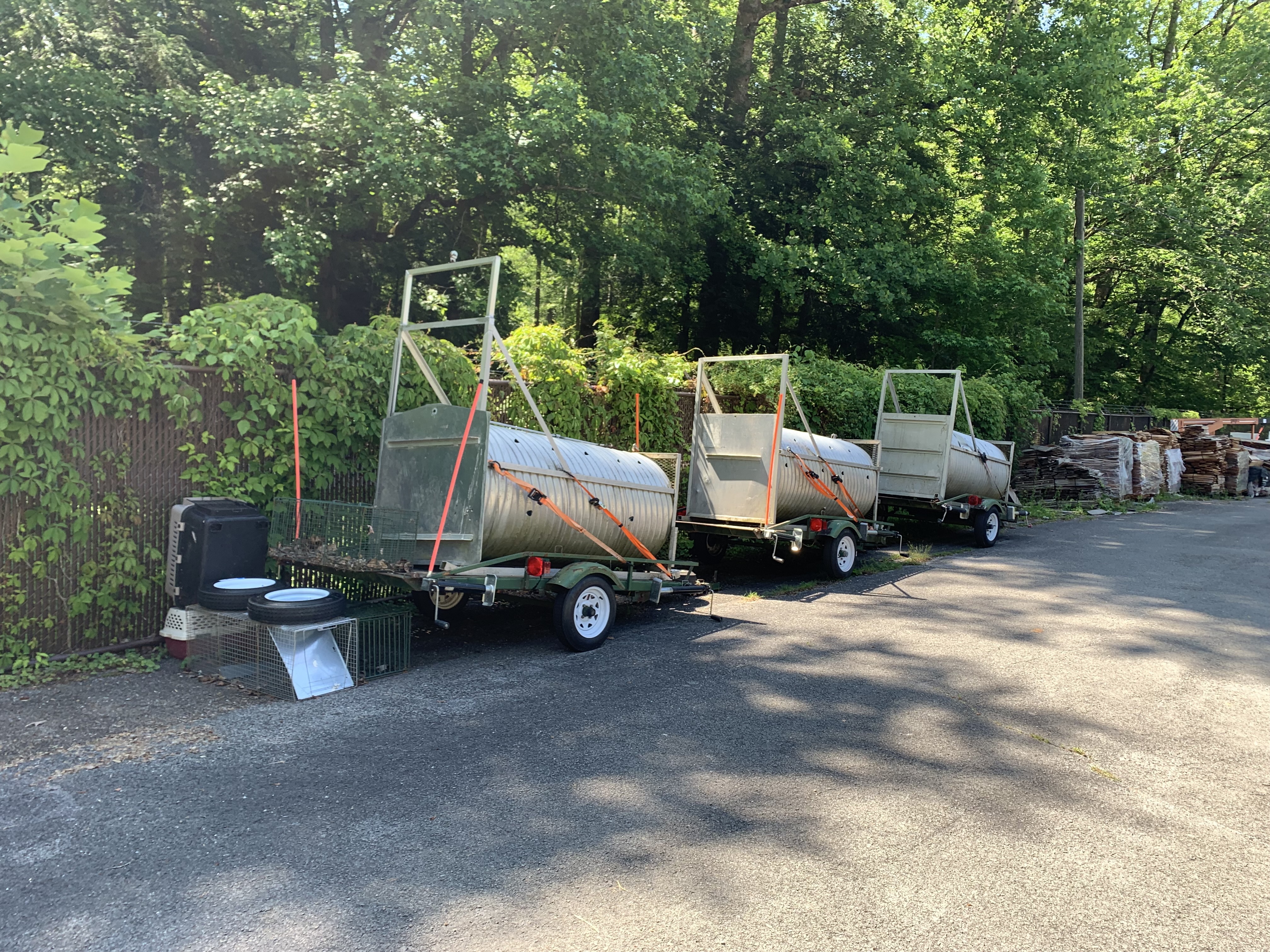 Bear Tracks | National Park Foundation
