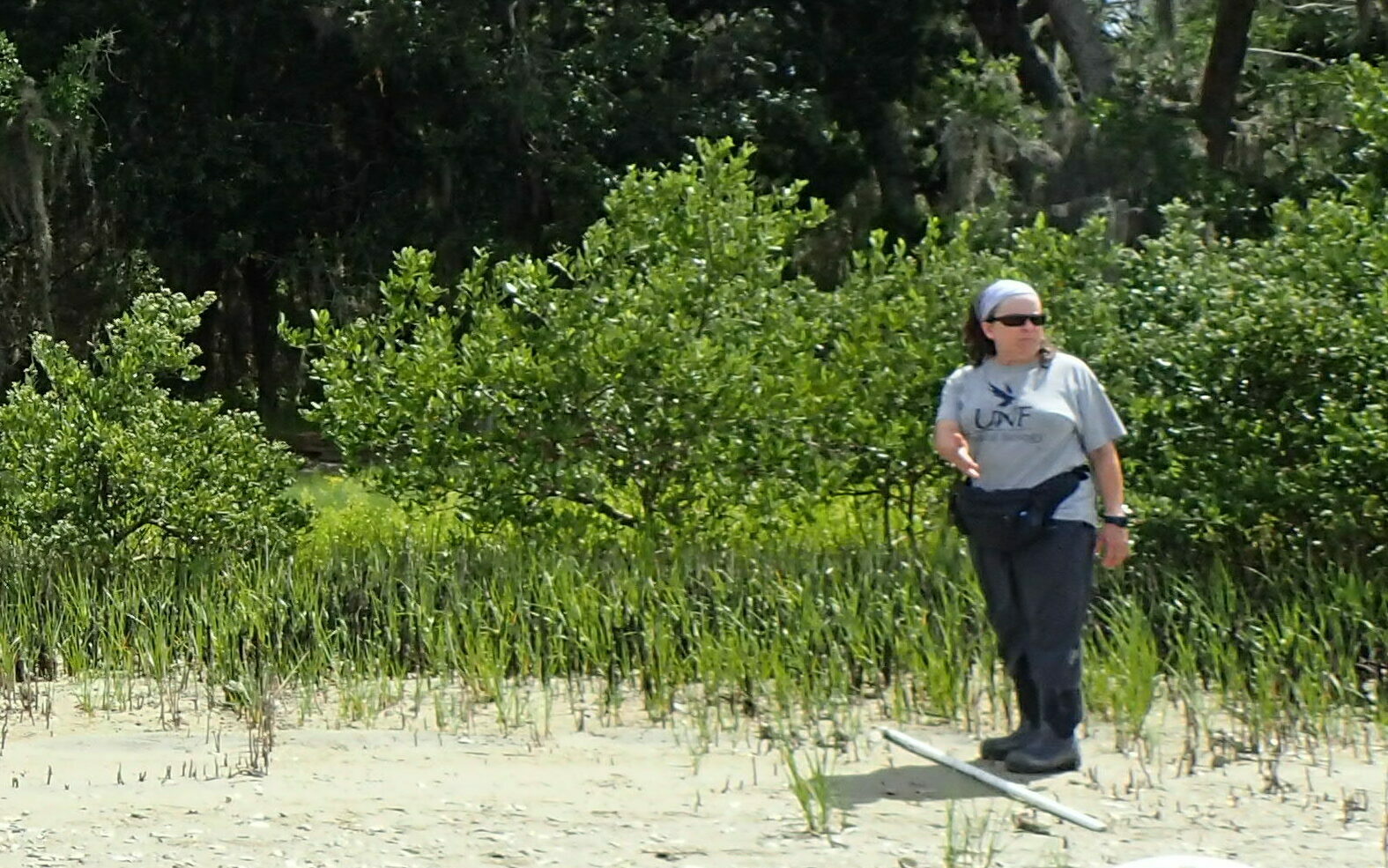 Restoring Timucuan | National Park Foundation