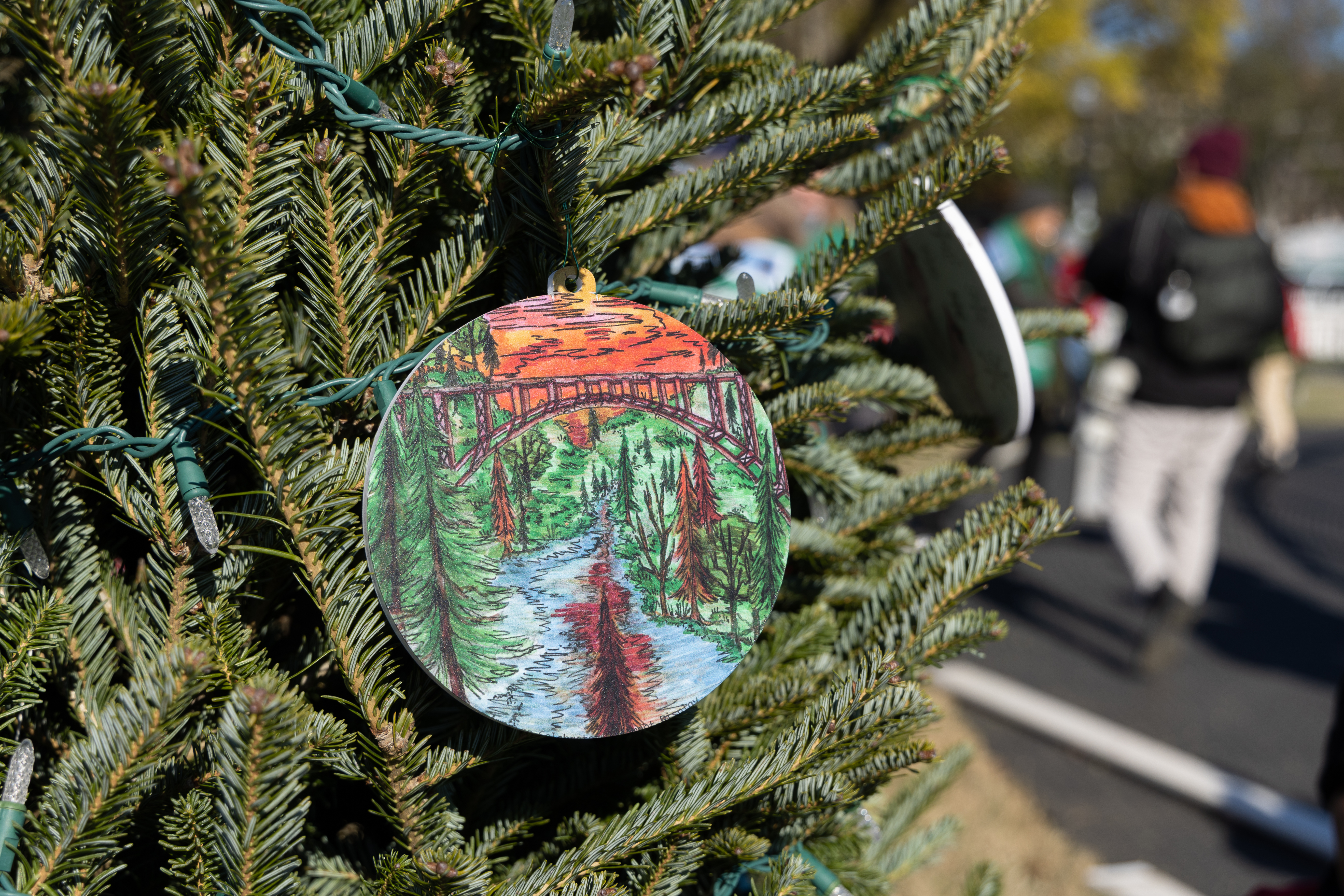 100 Years of the National Christmas Tree | National Park Foundation