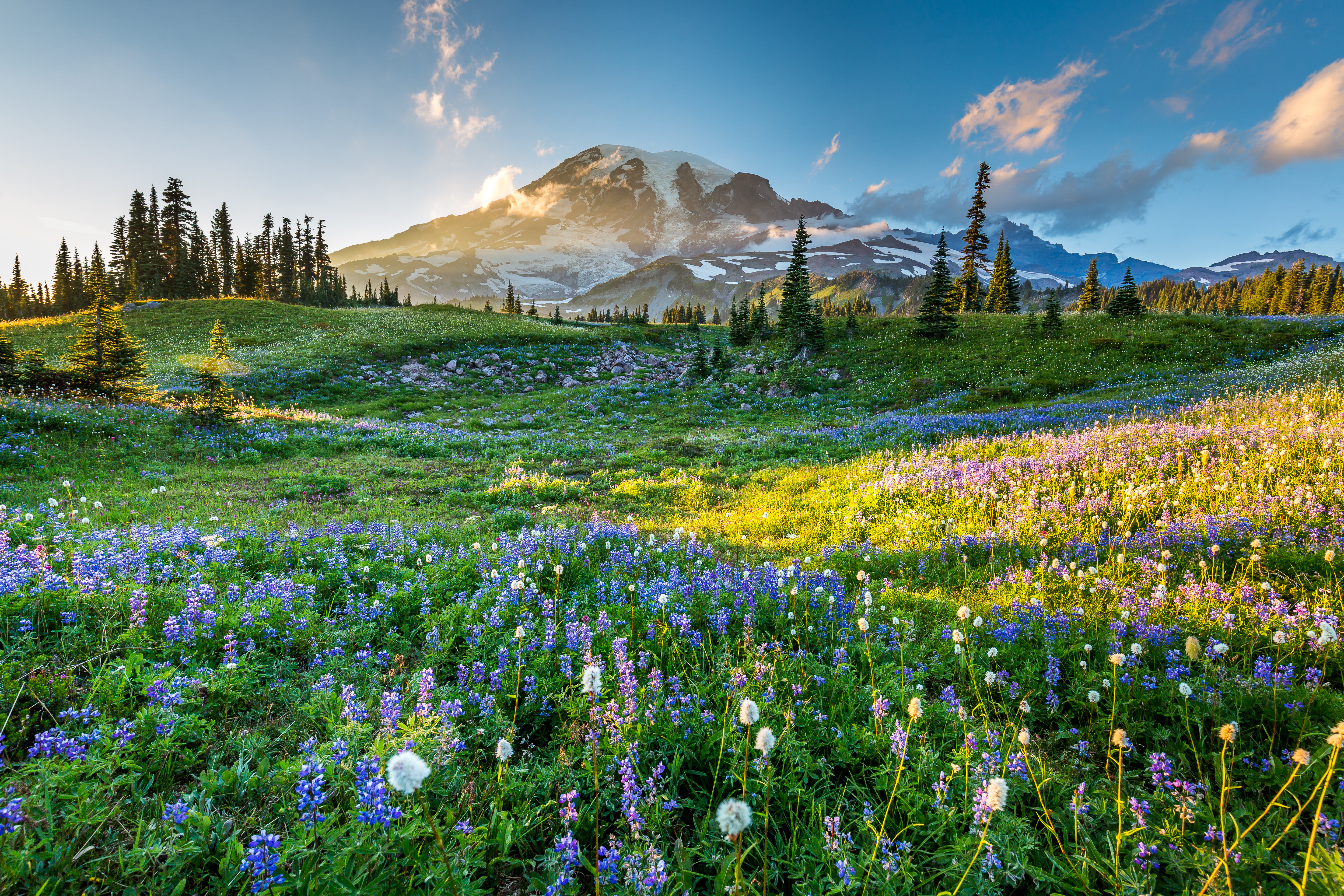 Mount rainier national park store