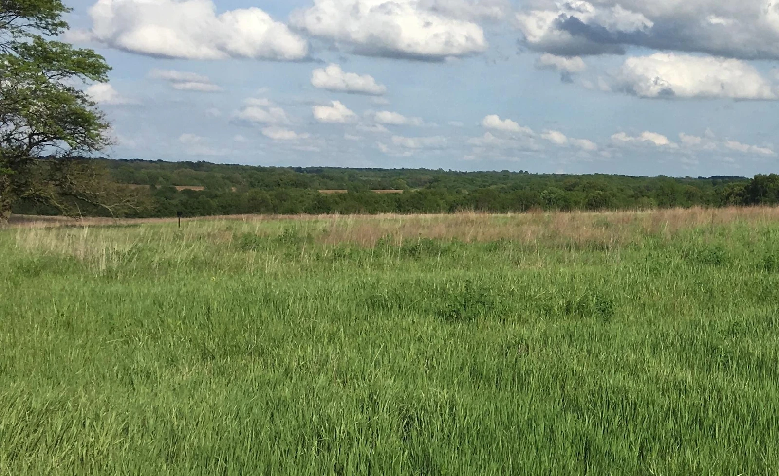 New Philadelphia National Historic Site | National Park Foundation